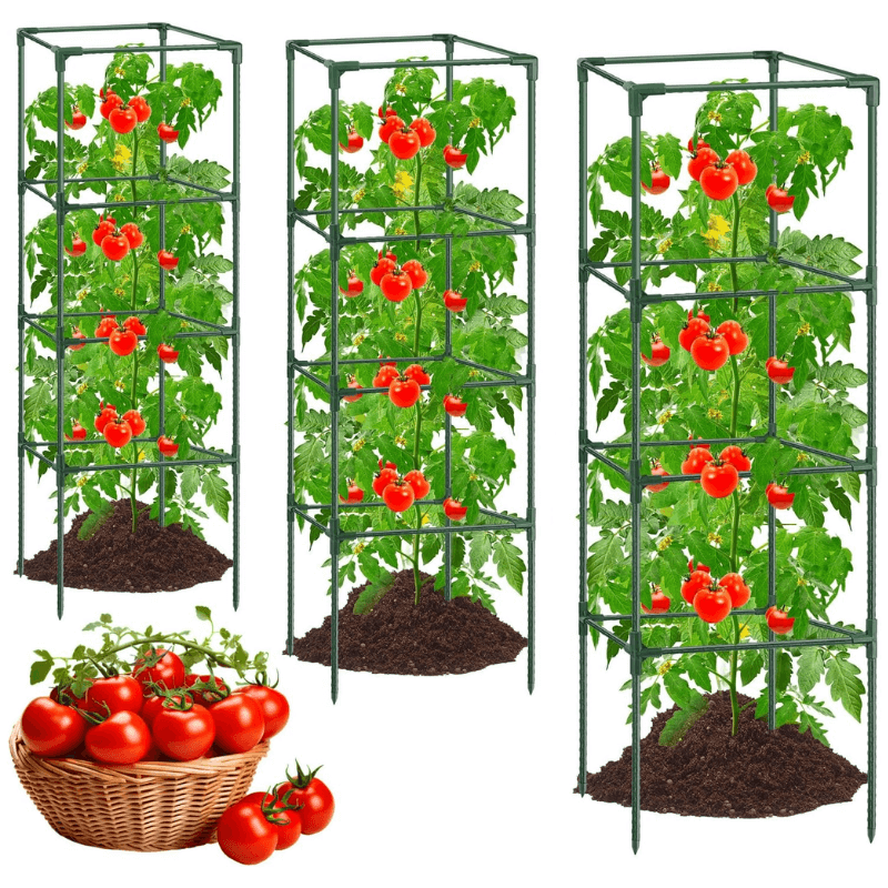Square Tomato Plant Cage for Garden & Climbing Plant [3 Set] – itoolmax